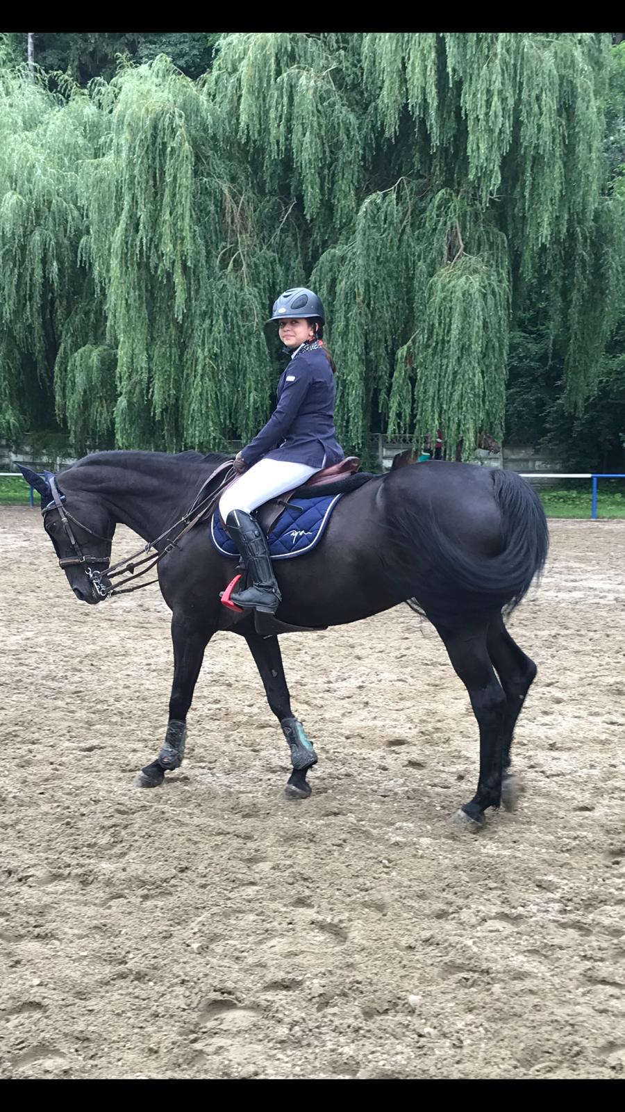 Scoala de echitatie Radauti - Ecvestru Park Sucevita