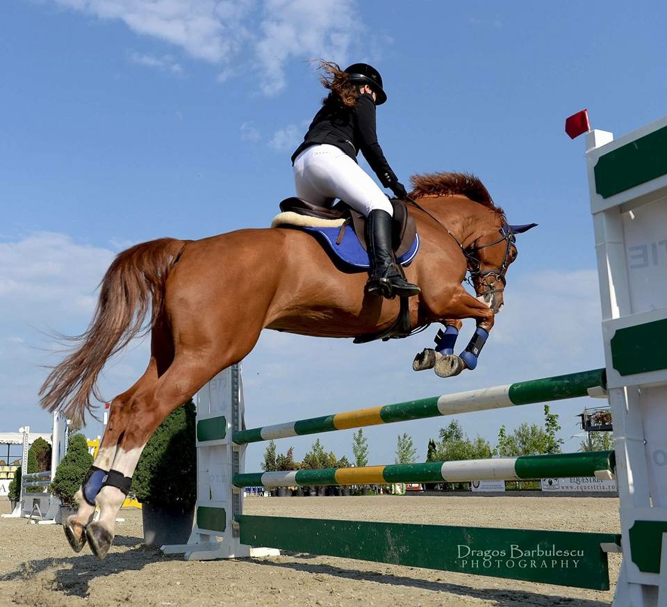 Scoala de echitatie Radauti - Ecvestru Park Sucevita